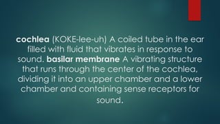 Lecture # 8 (1) Applied psychology .pptx