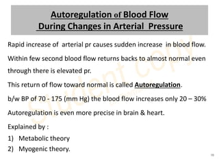 Lecture 78 control of blood flow2020 | PDF