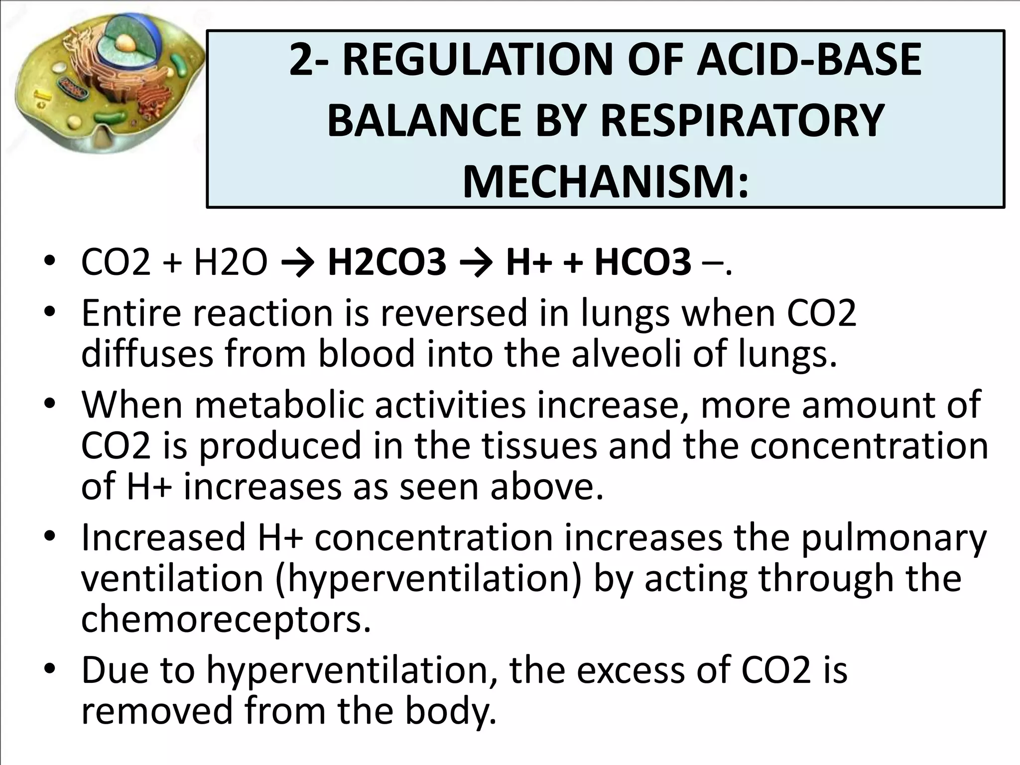 lecture7acidbasebalance-180702011803.pdf