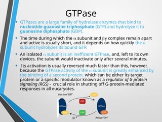 Second year college lecture on GPCRs.ppt