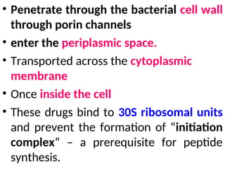 Aminoglycosides2012 MOA Structure examplesppt | PPT