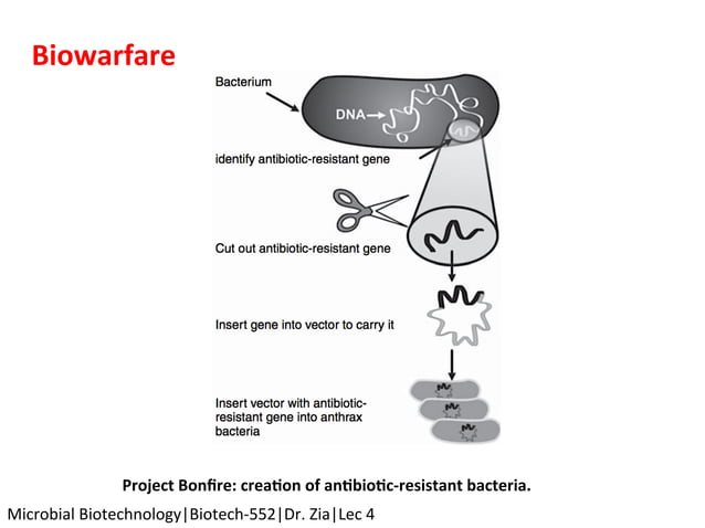Lecture 7 and 8 microbial_sem_6_20180307 | PPT