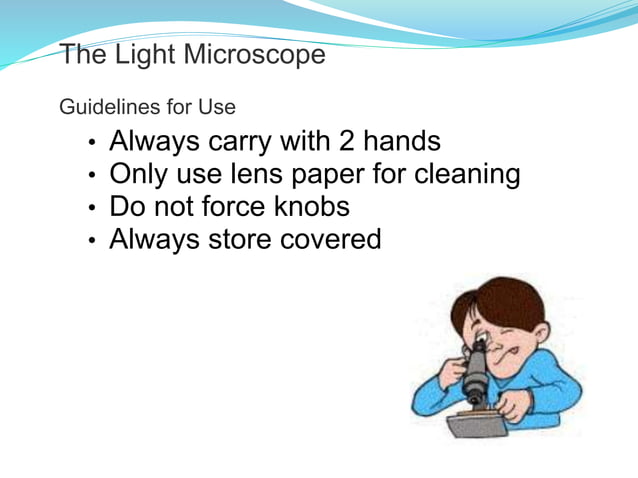 Lecture 7b. Microscope. types and functions | PPT