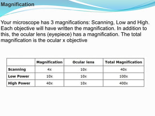 Lecture 7b. Microscope. types and functions | PPT