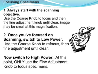 Lecture 7b. Microscope. types and functions | PPT
