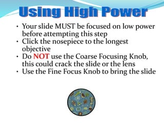 Lecture 7b. Microscope. types and functions | PPT