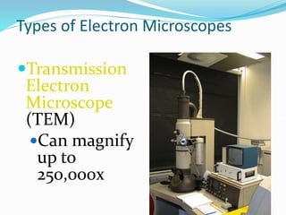 Lecture 7b. Microscope. types and functions | PPT