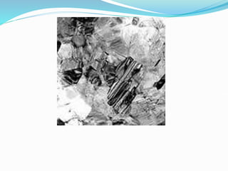 Lecture 7b. Microscope. types and functions | PPT