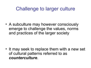 LECTURE 7b Cultural Variation sociology notes.ppt