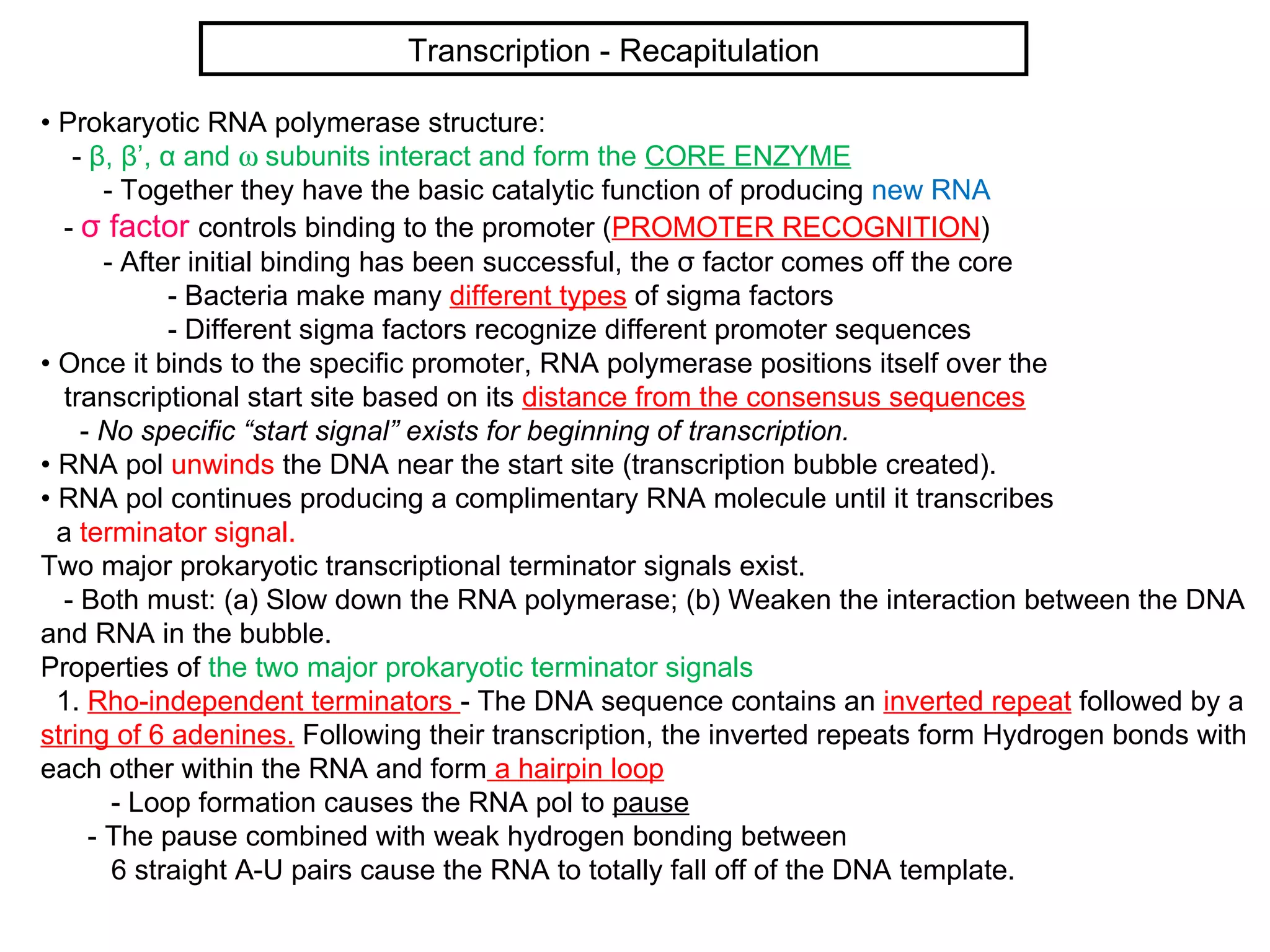 Lecture 7 (biol3600) genetic code and translation | PPT