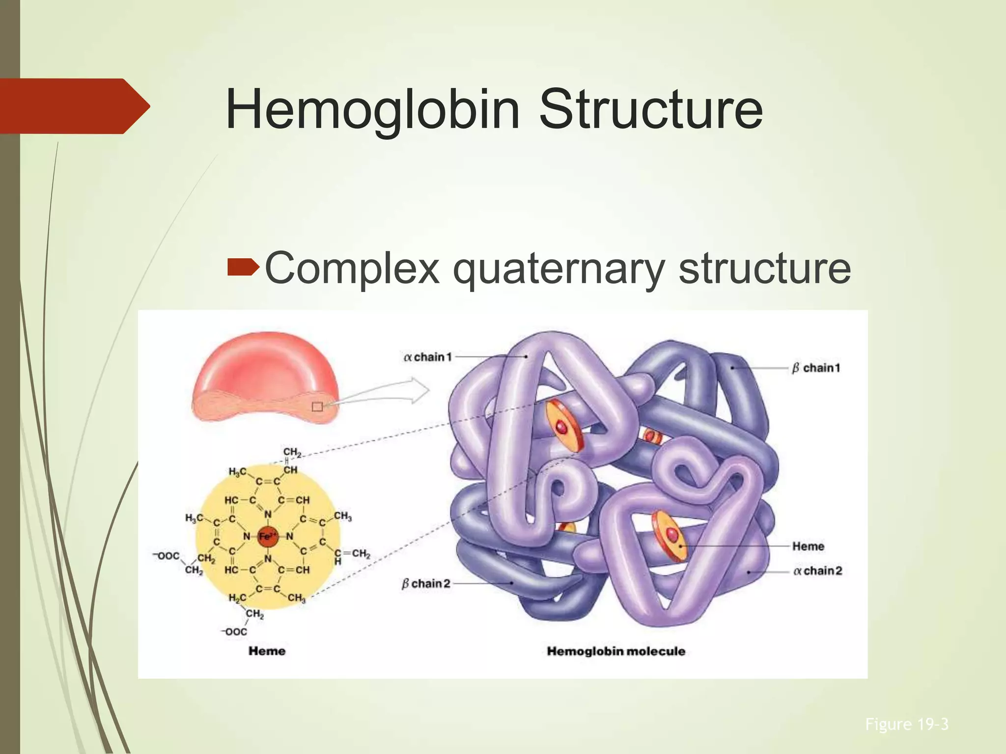 Blood Physiology.ppt