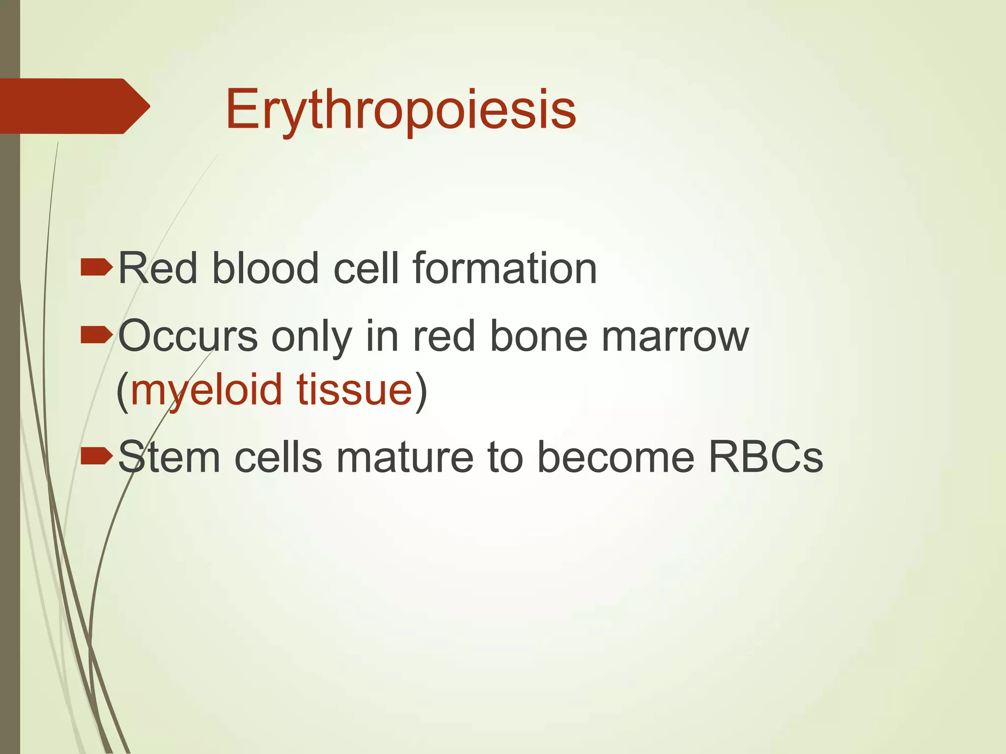 Blood Physiology.ppt