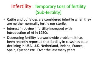 Lecture 7 Bovine infertility | PDF