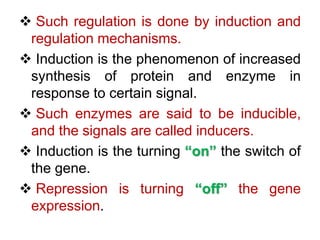 Lecture 7, Cell cycle and Gene Expression.ppt