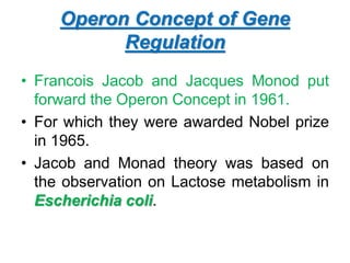 Lecture 7, Cell cycle and Gene Expression.ppt