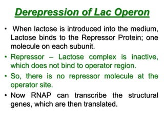 Lecture 7, Cell cycle and Gene Expression.ppt