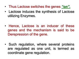 Lecture 7, Cell cycle and Gene Expression.ppt
