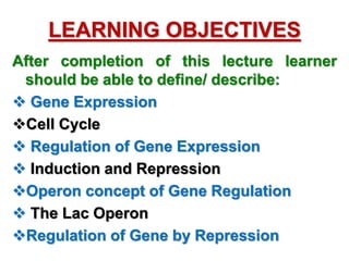 Lecture 7, Cell cycle and Gene Expression.ppt
