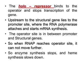 Lecture 7, Cell cycle and Gene Expression.ppt