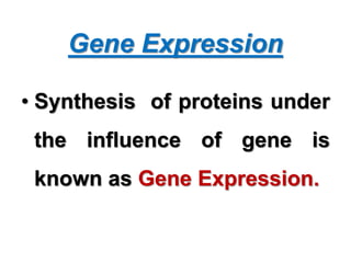 Lecture 7, Cell cycle and Gene Expression.ppt