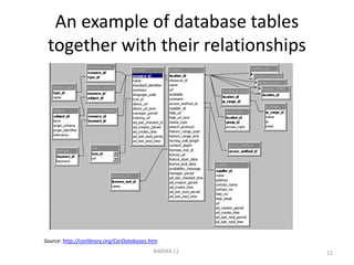 Lecture 7 database | PPTX