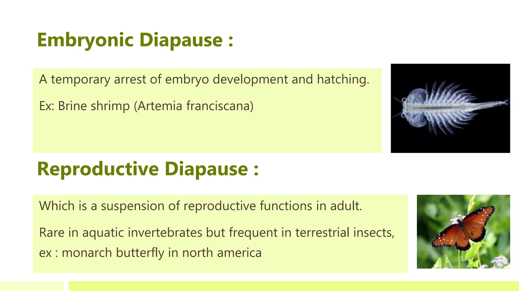 Diapause in aquatic invertebrates | PPTX