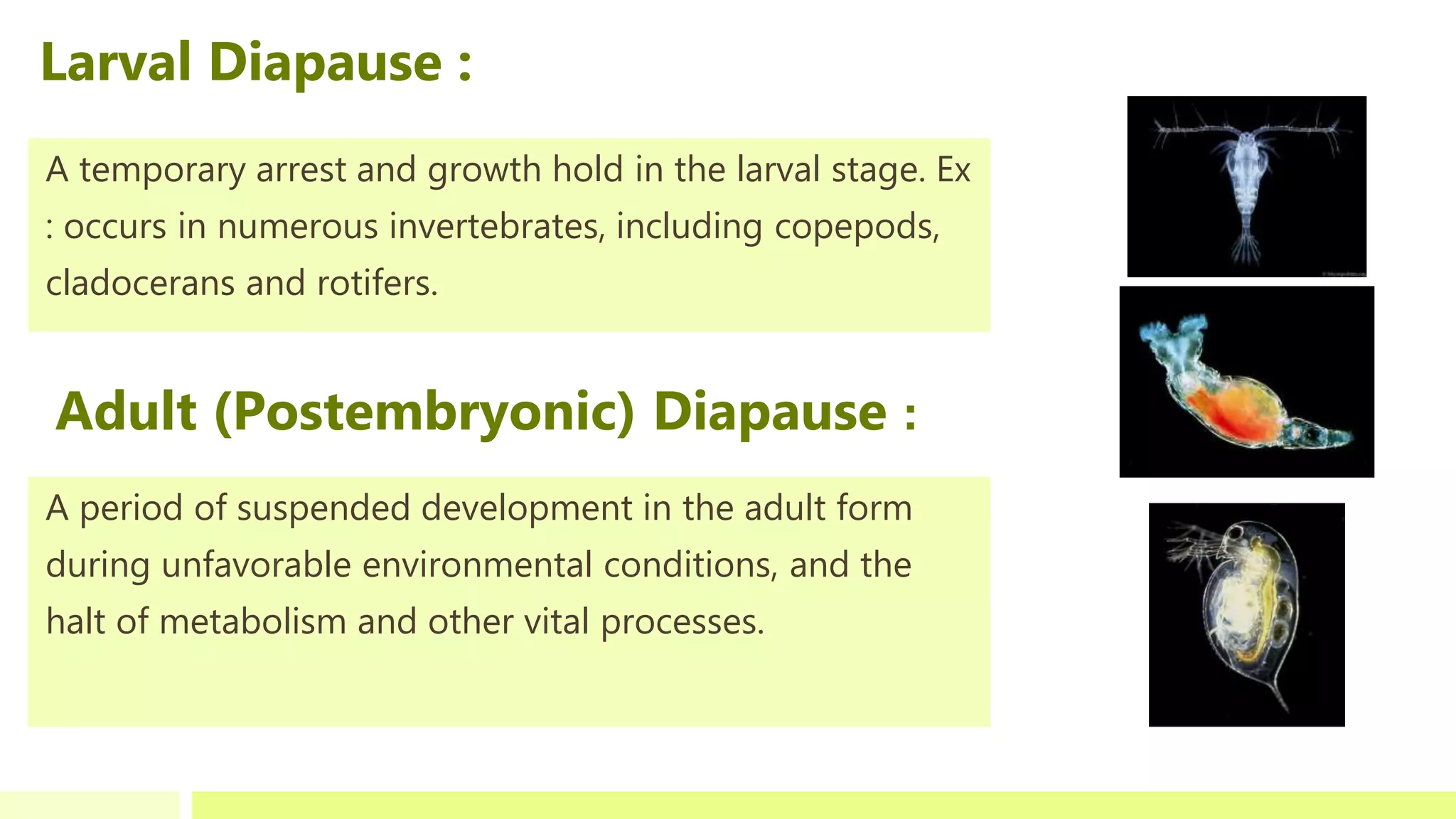 Diapause in aquatic invertebrates | PPTX
