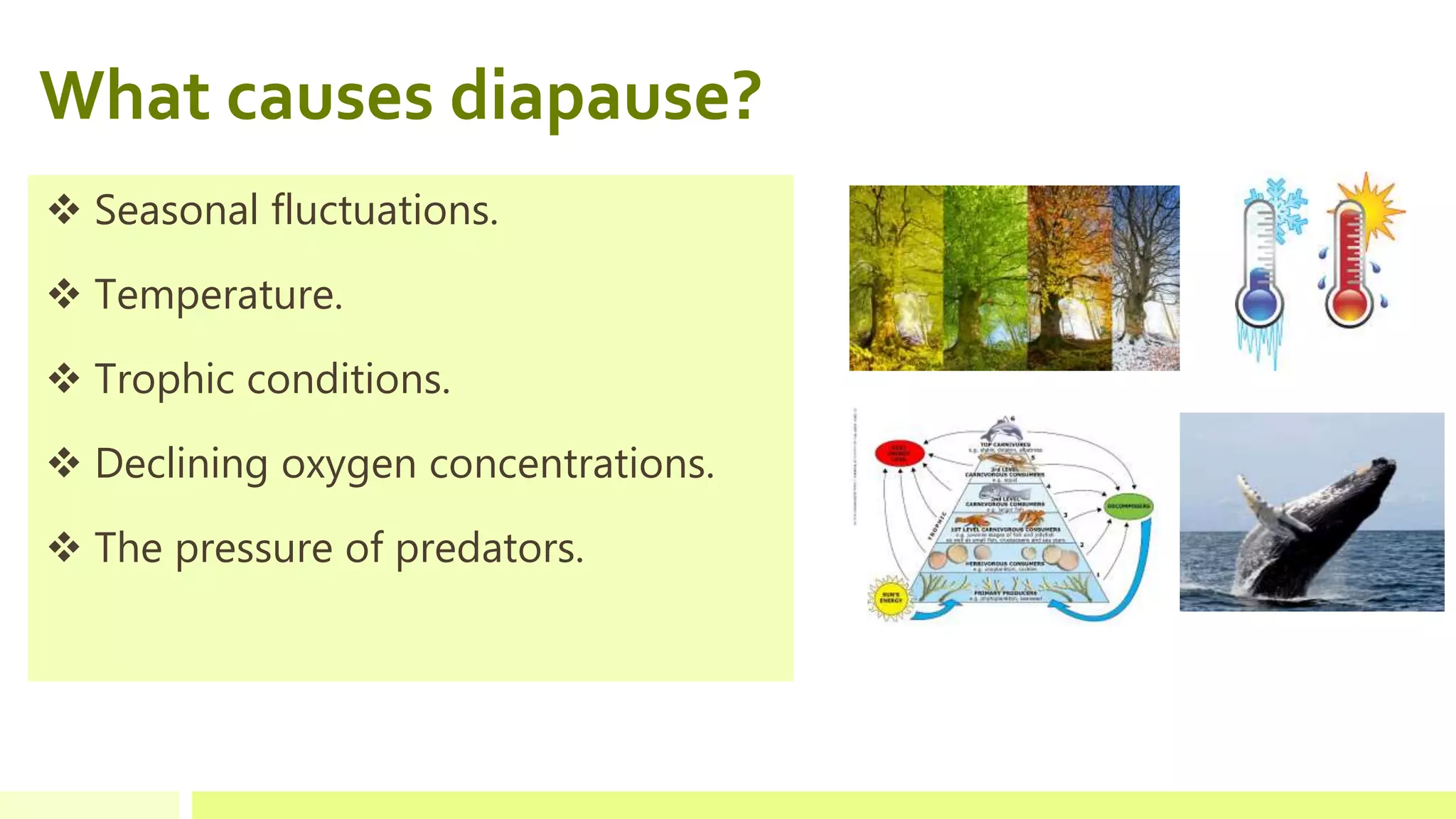 Diapause in aquatic invertebrates | PPTX