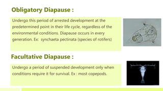 Diapause in aquatic invertebrates | PPT