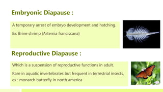 Diapause in aquatic invertebrates | PPT