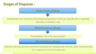 Diapause in aquatic invertebrates | PPT