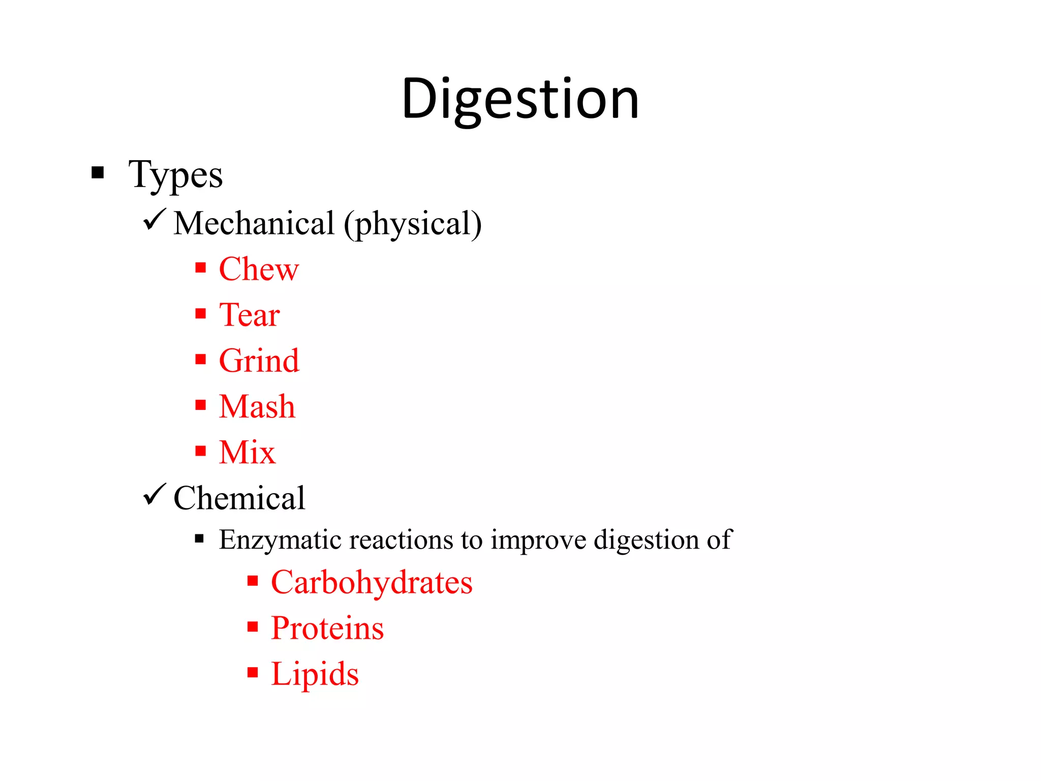 Lecture 7 Digestive System PPT.ppt