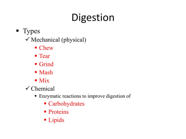 Lecture 7 Digestive System PPT.ppt