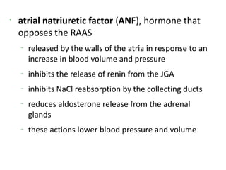 Lecture 7 excretion and osmoregulation | PDF