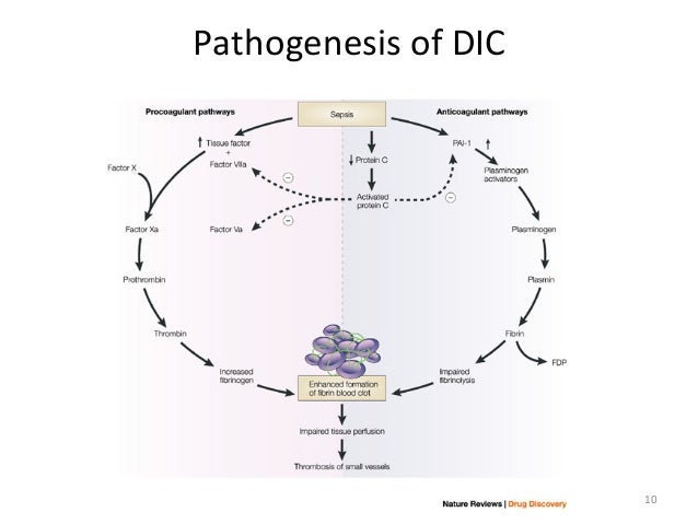 Lecture 7, fall 2014