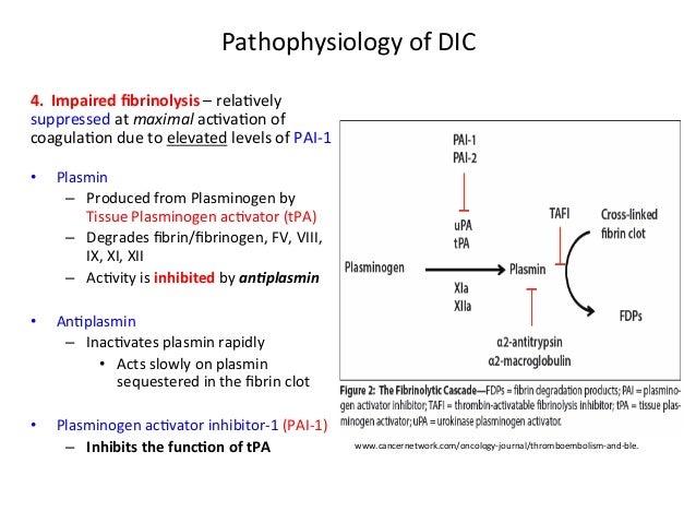 Lecture 7, fall 2014
