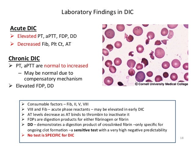 Lecture 7, fall 2014