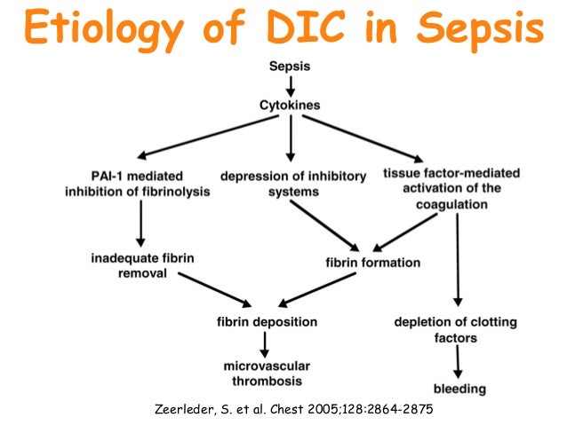 Lecture 7, fall 2014