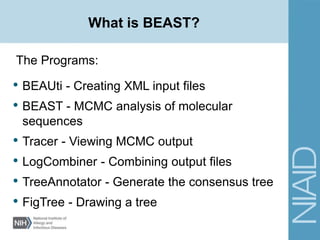 Pathogen phylogenetics using BEAST | PPT