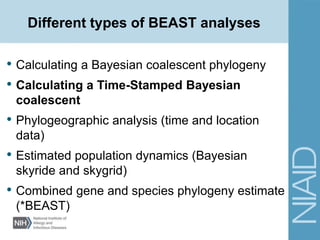 Pathogen phylogenetics using BEAST | PPT