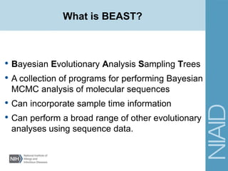 Pathogen phylogenetics using BEAST | PPT