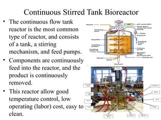 Lecture 7 fermenters and it's types-1.pptx