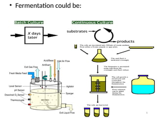 Lecture 7 fermenters and it's types-1.pptx