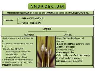 Flower Morphology 11111111111111111111.pdf