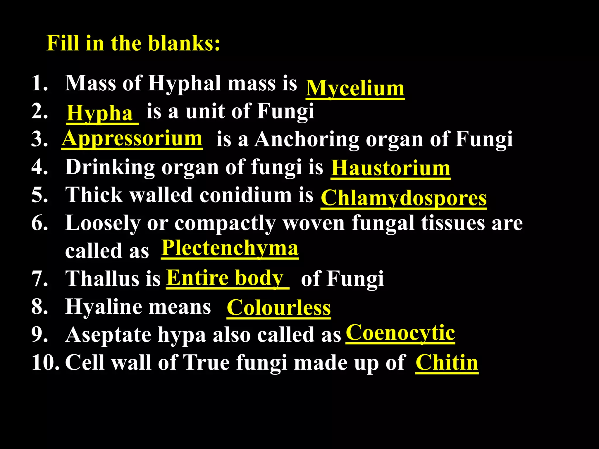 Lecture 7 General Characters of fungi - Vegetative structures.pptx