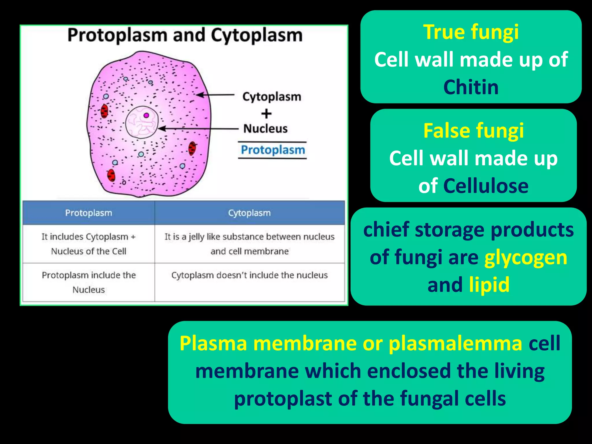 Lecture 7 General Characters of fungi - Vegetative structures.pptx
