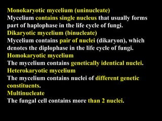 Lecture 7 General Characters of fungi - Vegetative structures.pptx