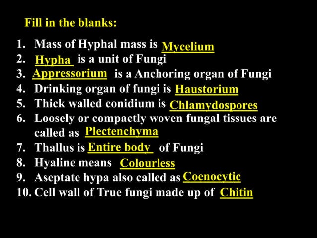 Lecture 7 General Characters of fungi - Vegetative structures.pptx