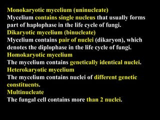 Lecture 7 General Characters of fungi - Vegetative structures (1).pptx