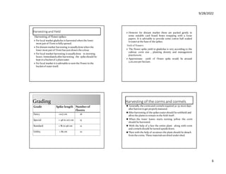 Lecture 7 gladiolus_pdf.pdf